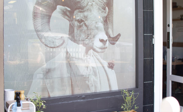 Mad Ram Cafe - Hazey Designs